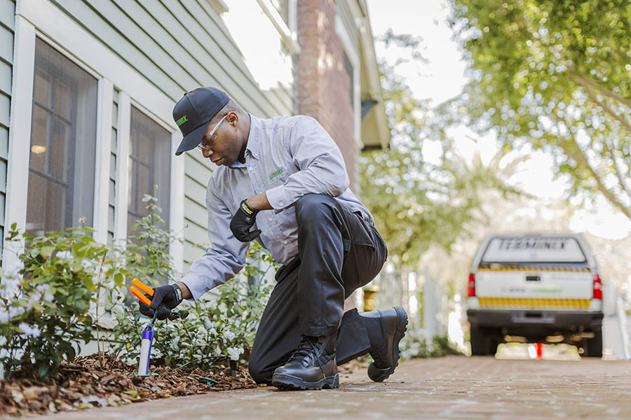 Terminix | CityInk